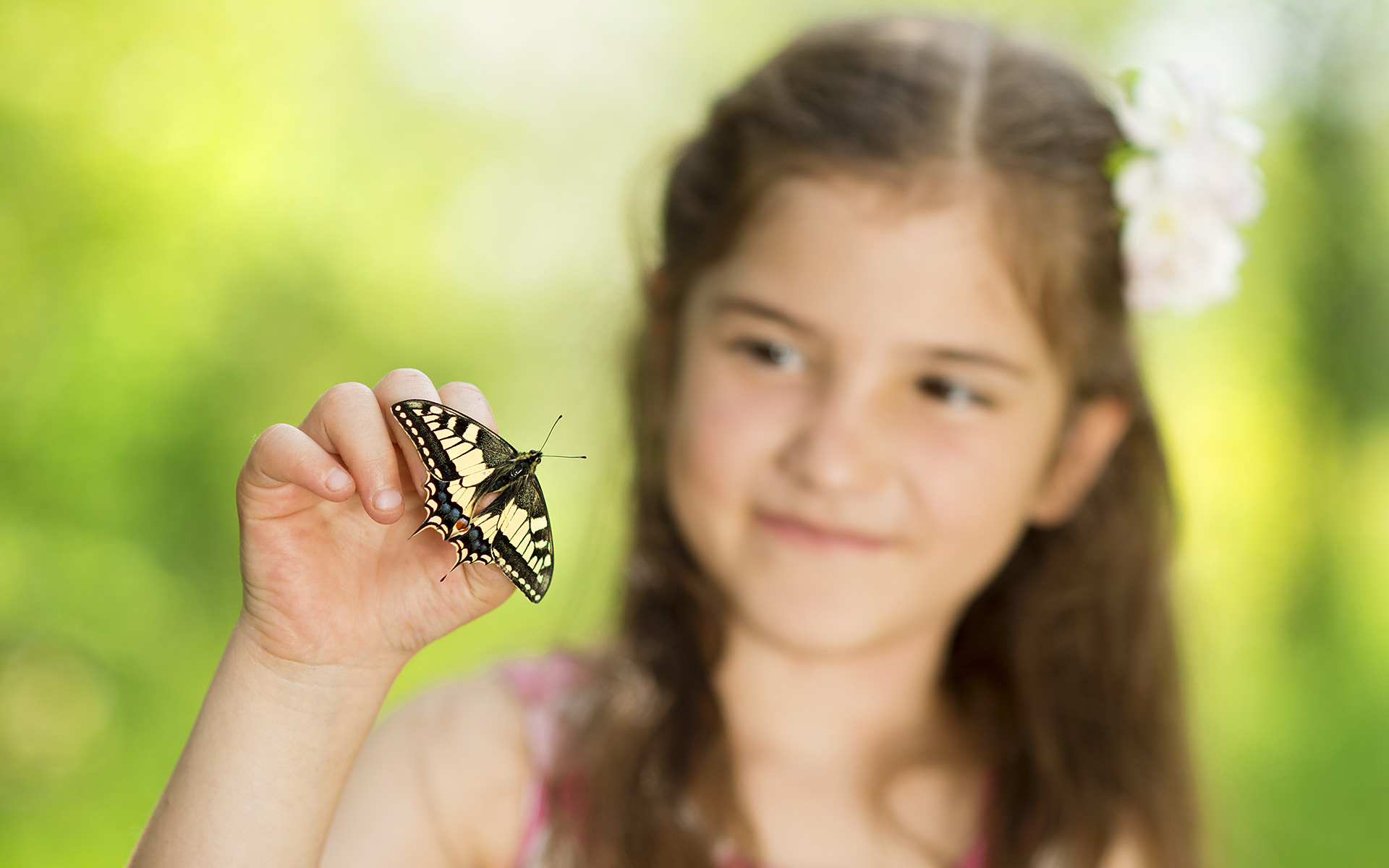 home-section2-bg - Bfly