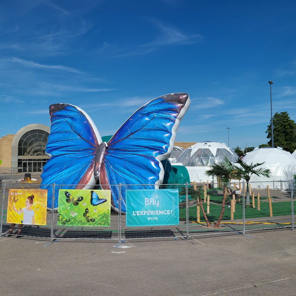 20210705_160259 - Bfly