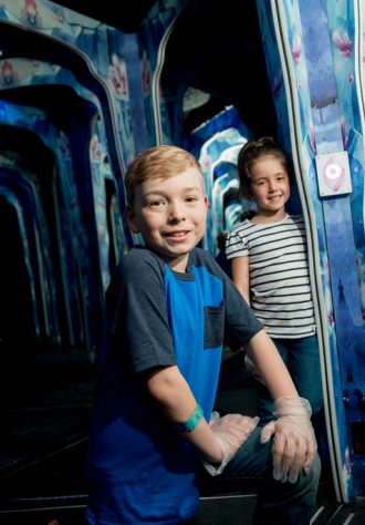 190603_Bfly_133 - Bfly