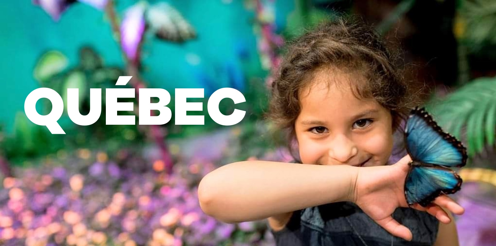 Activité familiale à Québec - Bfly : Volière papillon, labyrinthe et ...