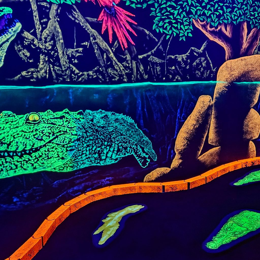 20240605_170942 - Bfly