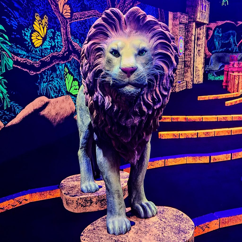 20240605_171008 - Bfly